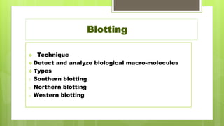 Southern blotting-1.pptx | Chemistry | Science