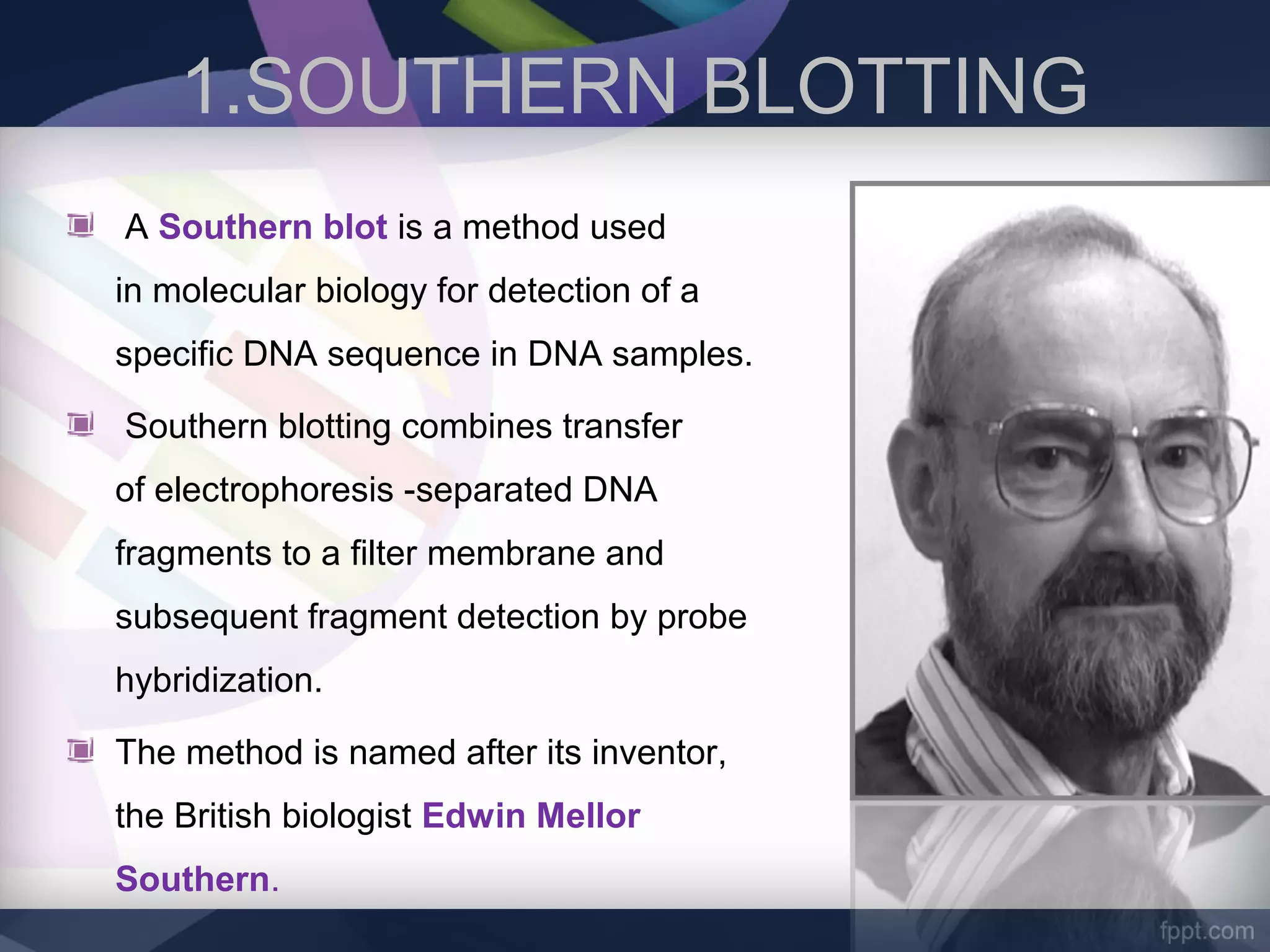 Southern blotting | PPT