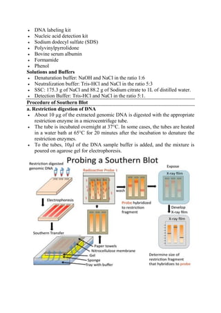 Southern Blotting.pdf
