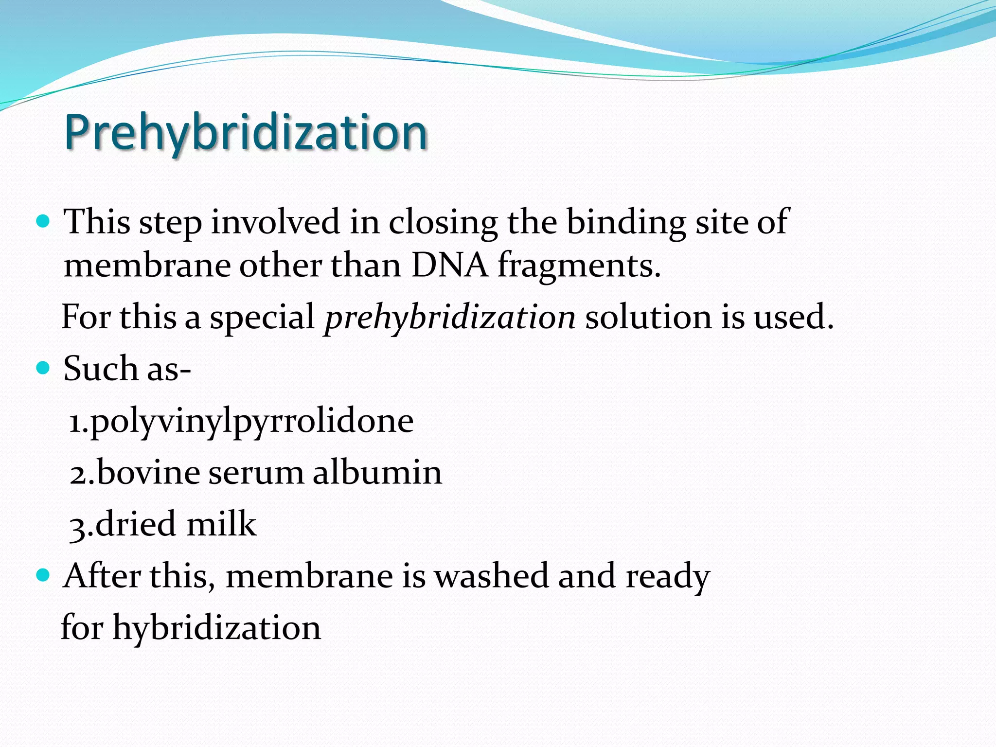 southern blotting.pptx