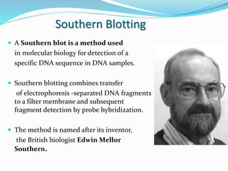 southern blotting.pptx