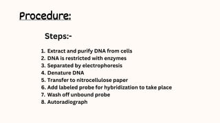 Southern blotting Technique (Nucleic acid hybridization).pptx