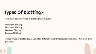 Southern blotting Technique (Nucleic acid hybridization).pptx