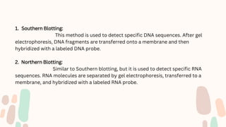Southern blotting Technique (Nucleic acid hybridization).pptx ...