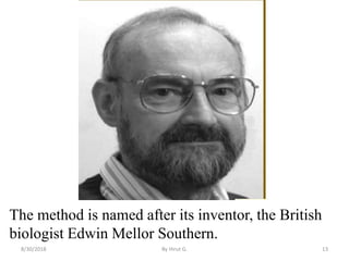 Southern blotting technique | PPTX