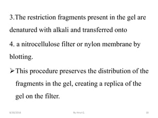Southern blotting technique | PPTX | Genetics | Science