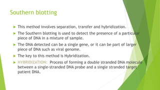 southern blot, western blot,blotting technique ,blotppt.pptx
