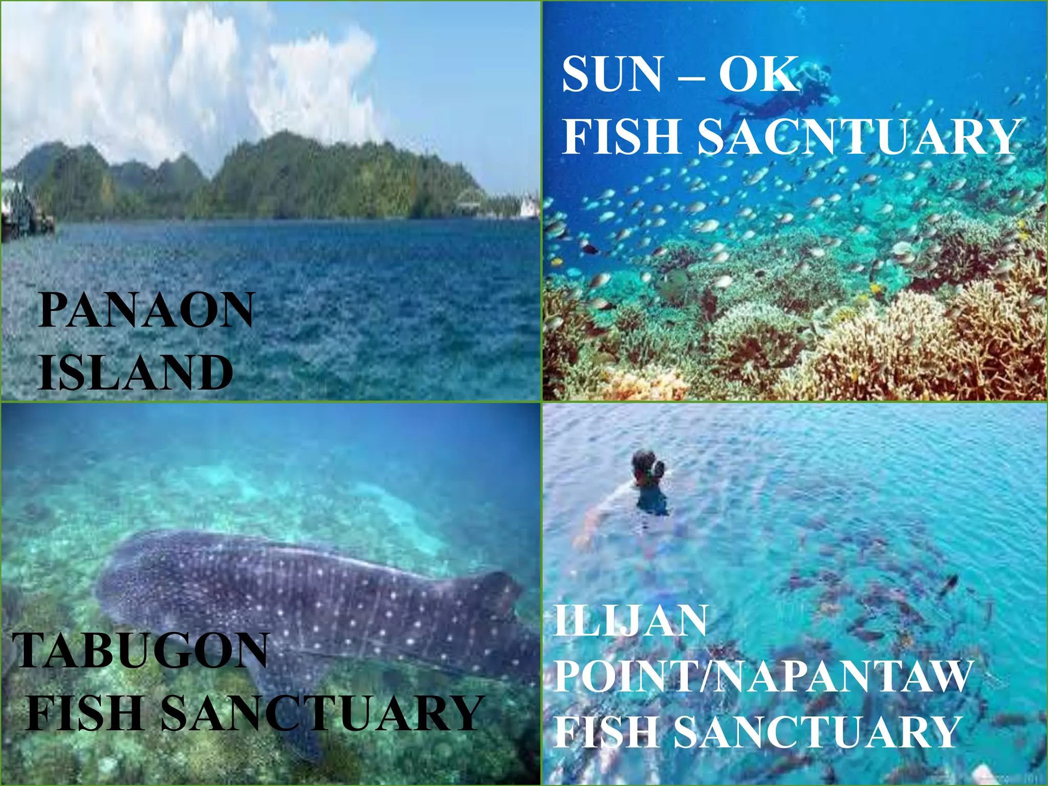 Region VIII - Southern leyte | PPTX