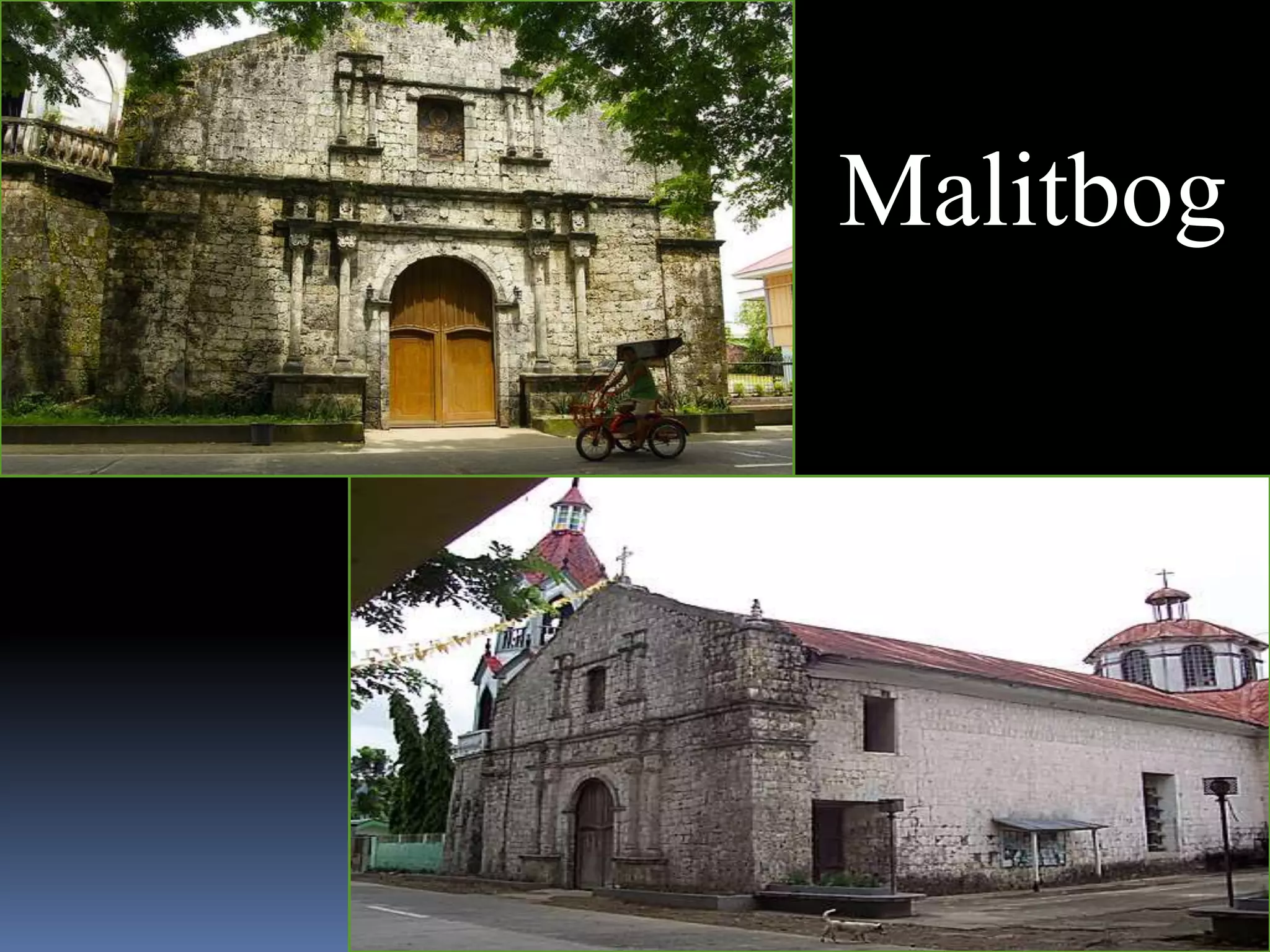 Region VIII - Southern leyte | PPTX