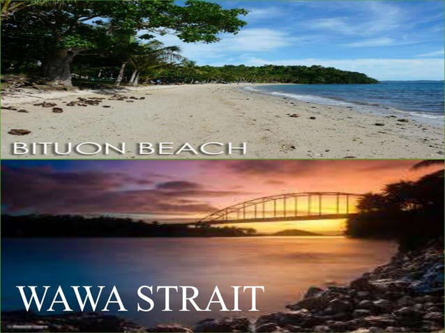 Region VIII - Southern leyte | PPTX | Travel