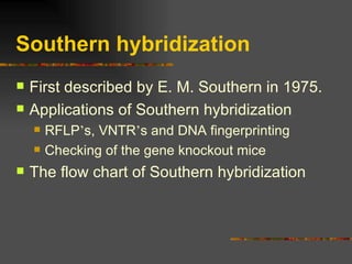 Southern northern and western blotting | PPT