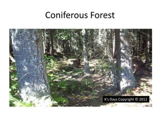 Southern oregon | PPTX