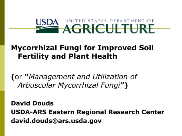 Southern sawg mycorrhizal fungi 2014 | PPT