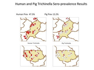 Integrated assessment and management of pig health risks – lesson’s ...
