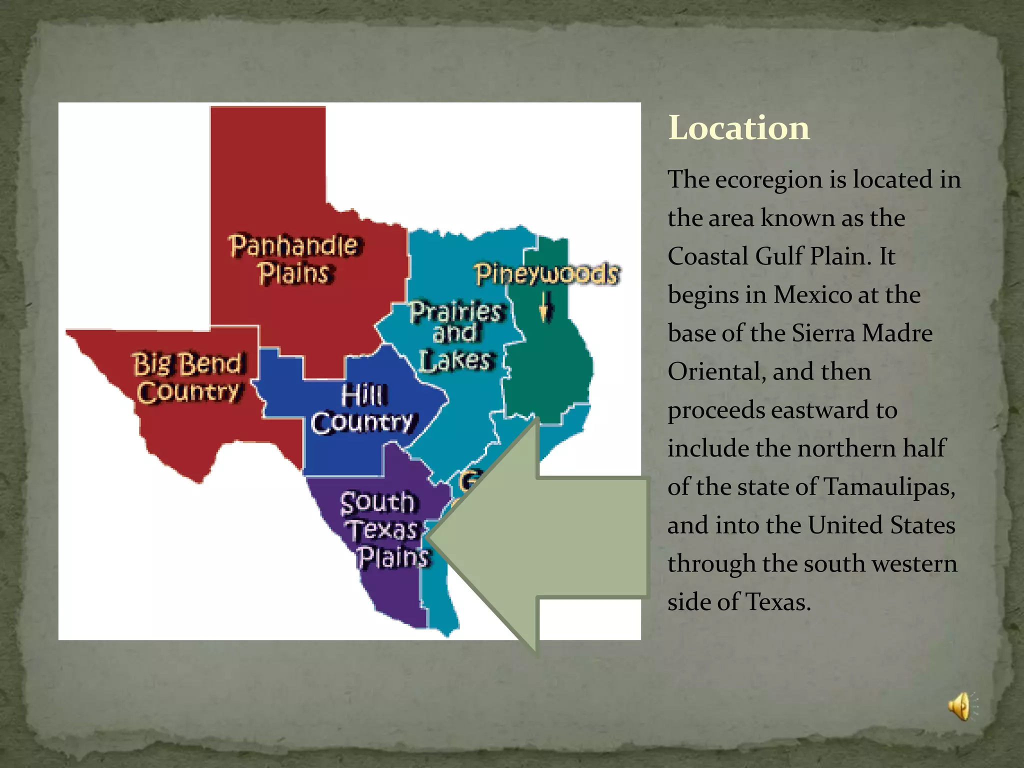 South texas plains | PPSX