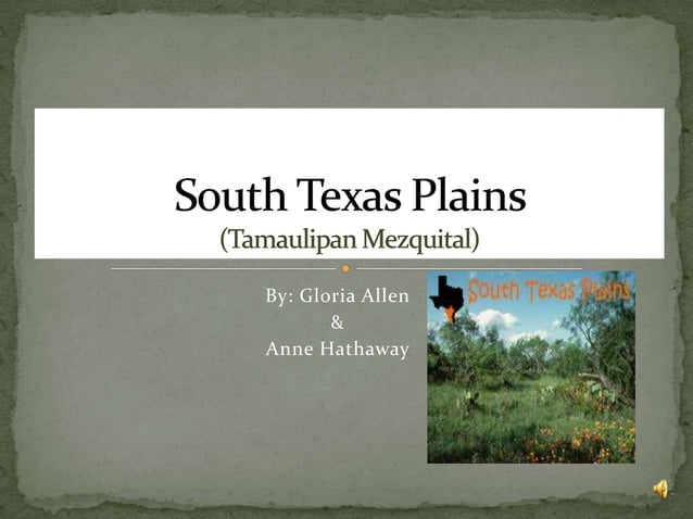 South texas plains | PPSX | Geography | Science