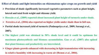 Effect of light intensity and Shade on performance of Rhizomatous Spice ...