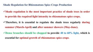 Effect of light intensity and Shade on performance of Rhizomatous Spice ...