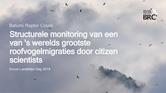 Batumi Raptor Count (Bart Hoekstra)