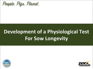 Sow Lifetime Productivity | PPT