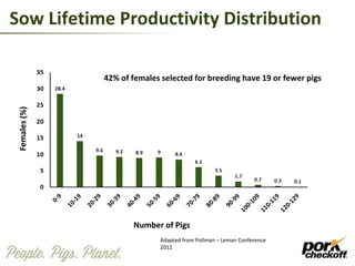 Sow Lifetime Productivity | PPT