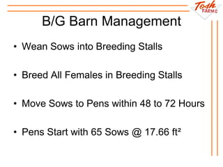 Electronic Sow Feeding at Tosh Farms | PPT