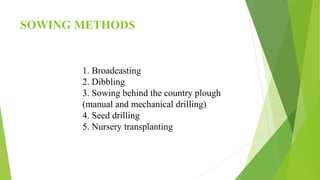 Sowing methods (1) | PPTX