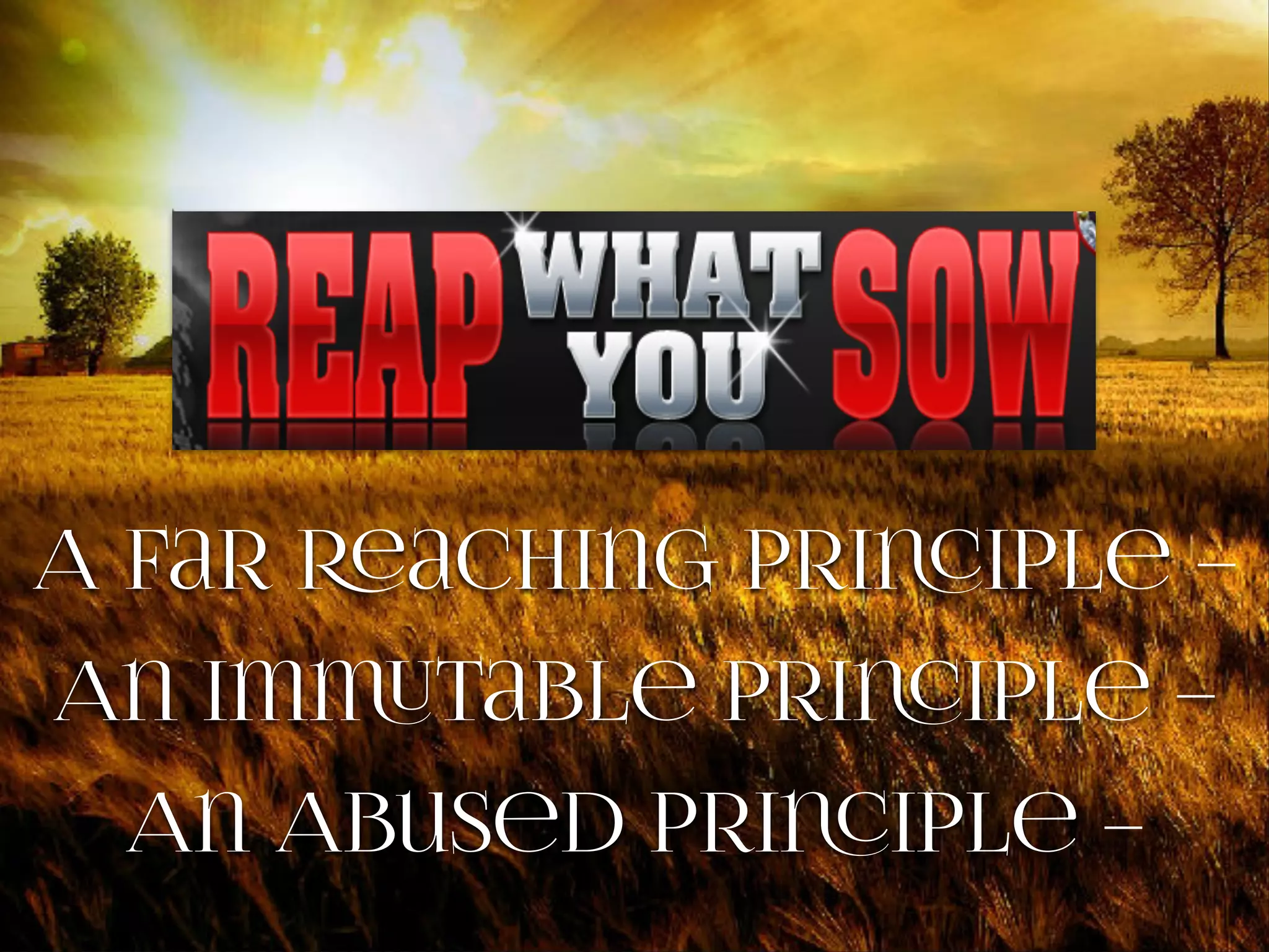 Sowing and reaping_what_will_you_reap | PDF