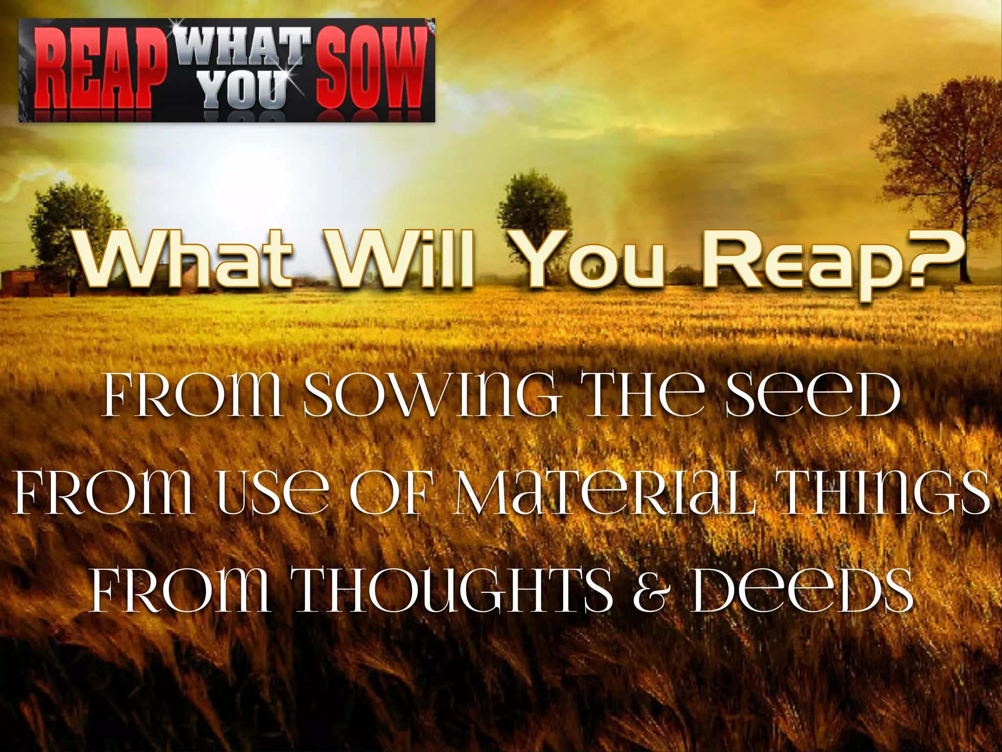 Sowing and reaping_what_will_you_reap | PDF