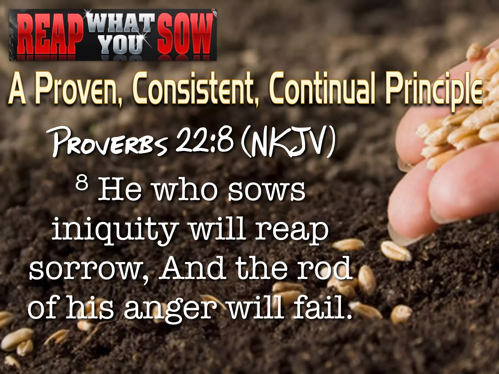 Sowing and reaping_what_will_you_reap | PDF