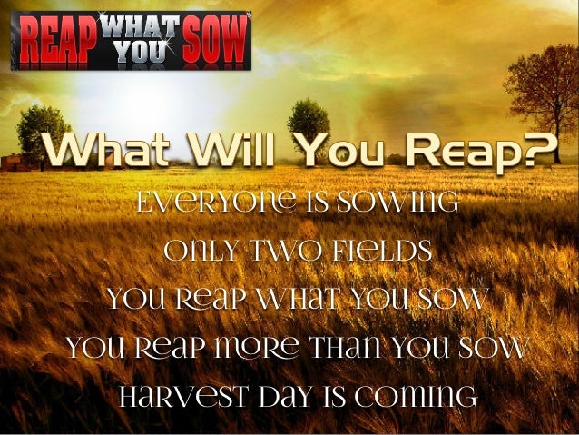Sowing and reaping_what_will_you_reap