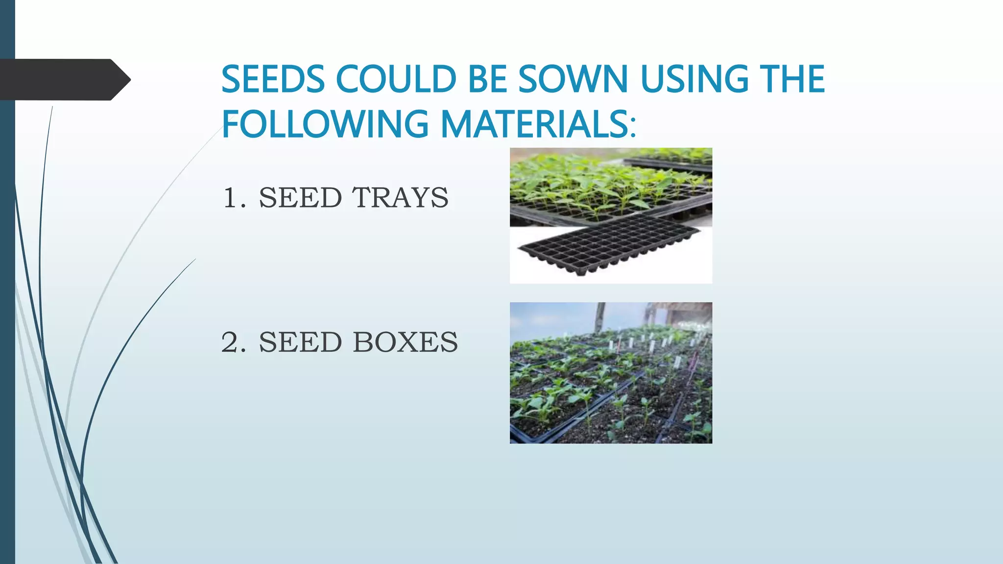 SOWING THE SEEDS mau.pptx