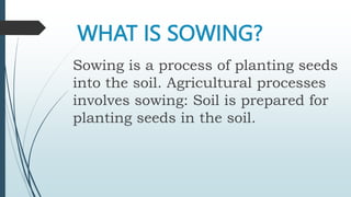 SOWING THE SEEDS mau.pptx