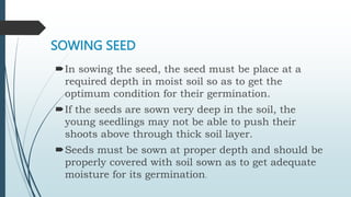SOWING THE SEEDS mau.pptx