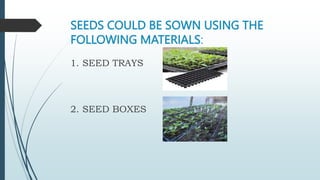 SOWING THE SEEDS mau.pptx