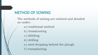 SOWING THE SEEDS mau.pptx | Free Download