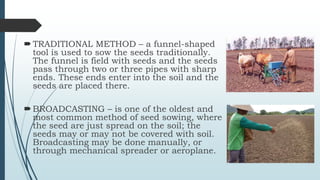 SOWING THE SEEDS mau.pptx