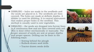 SOWING THE SEEDS mau.pptx