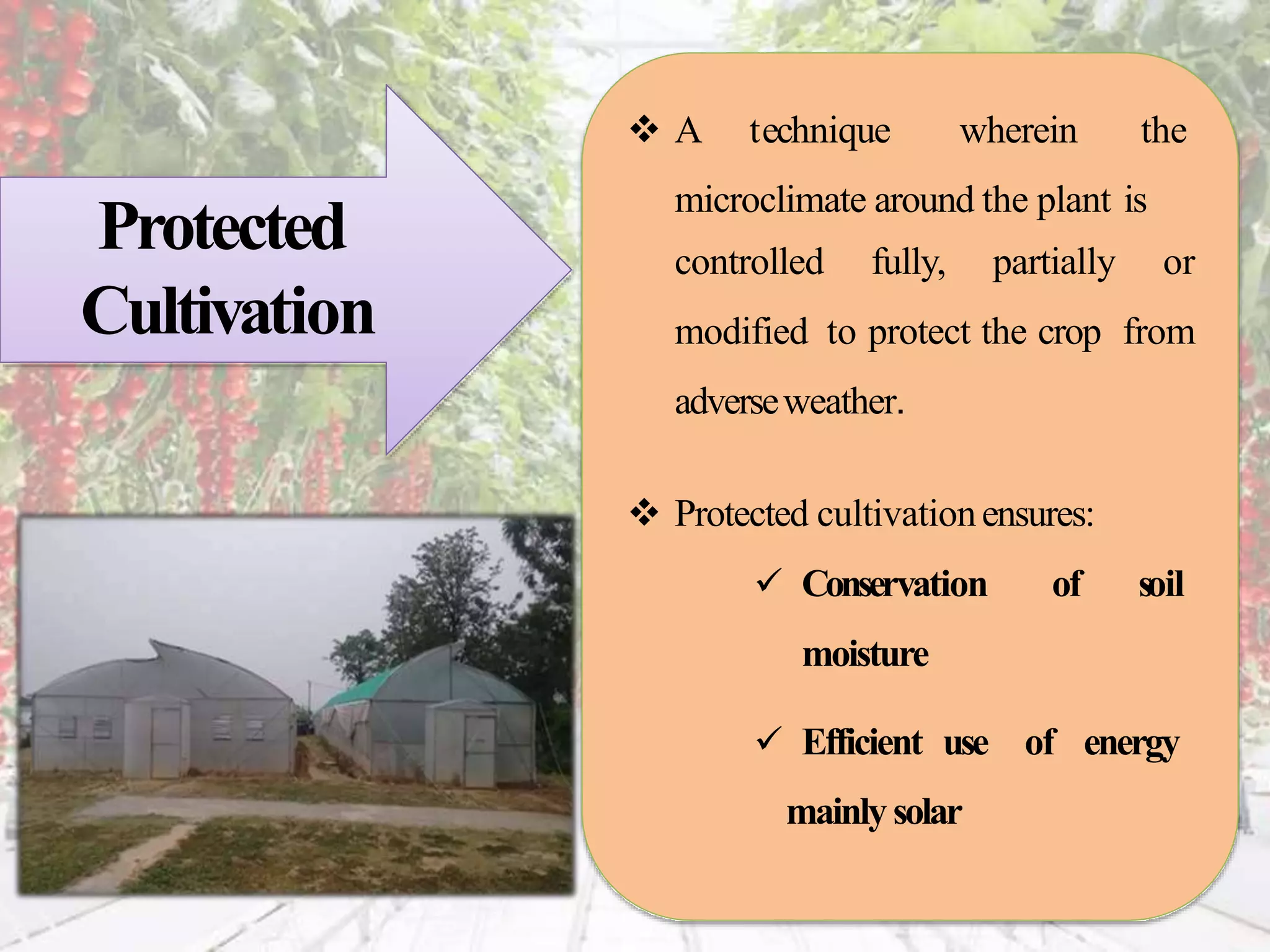 Protected Cultivation of Vegetable crops | PPTX