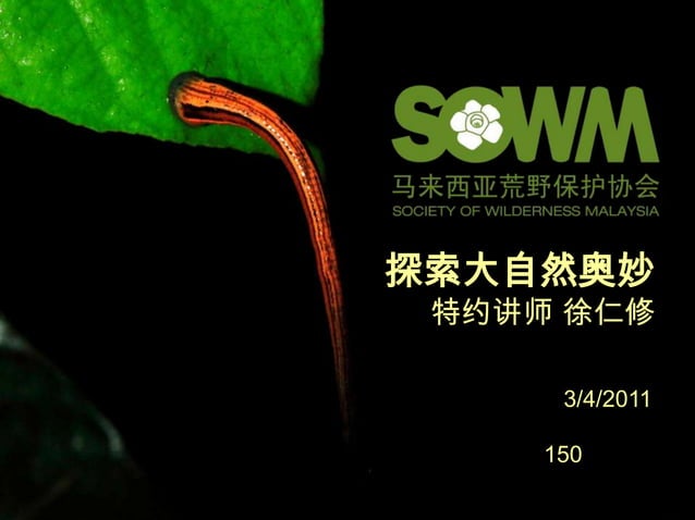 SOWM 2011 Activity Report Slideshow | PPTX