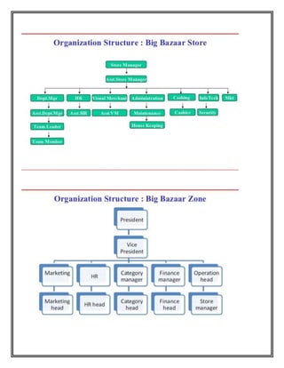 internship in big bazaar document | PDF