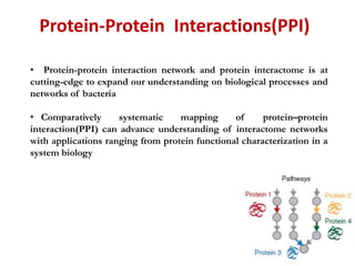 High throughput approaches to understanding gene function and mapping ...