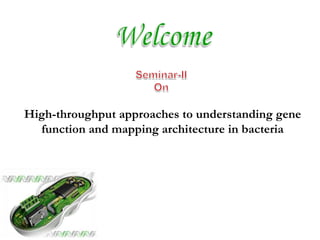 High throughput approaches to understanding gene function and mapping ...