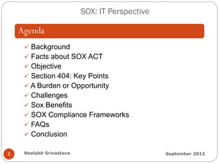 SOX- IT Perspective | PPT