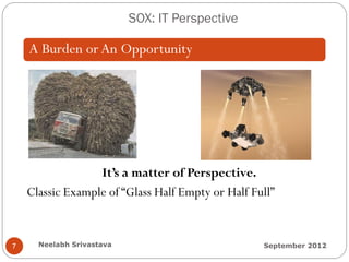 SOX- IT Perspective | PPT