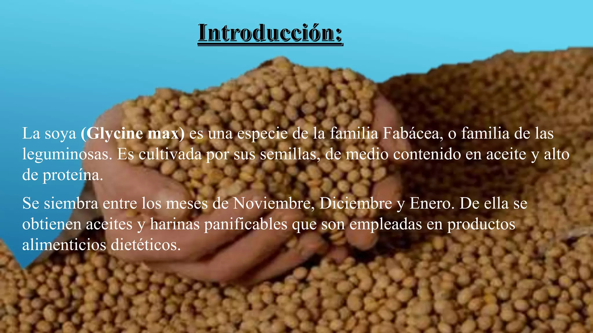 Soya ppt | PPTX