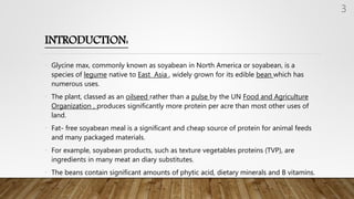 soyabean.pptx