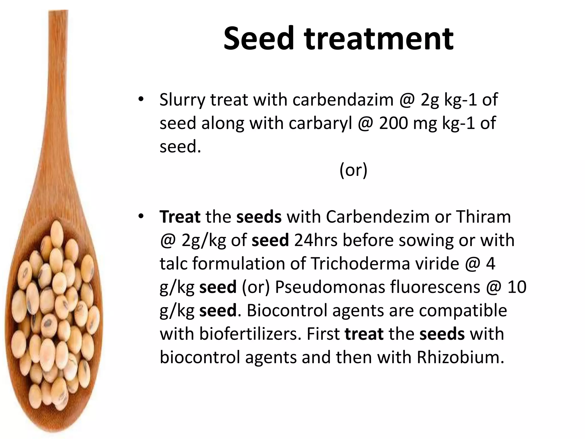 Soyabean ppt 3 | PPTX
