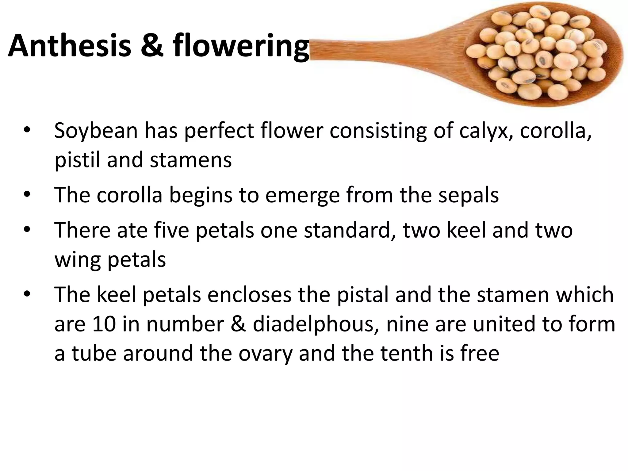 Soyabean ppt 3 | PPTX