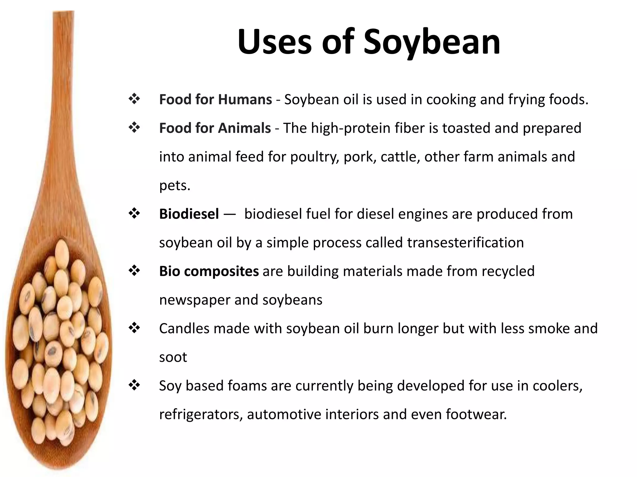 Soyabean ppt 3 | PPTX